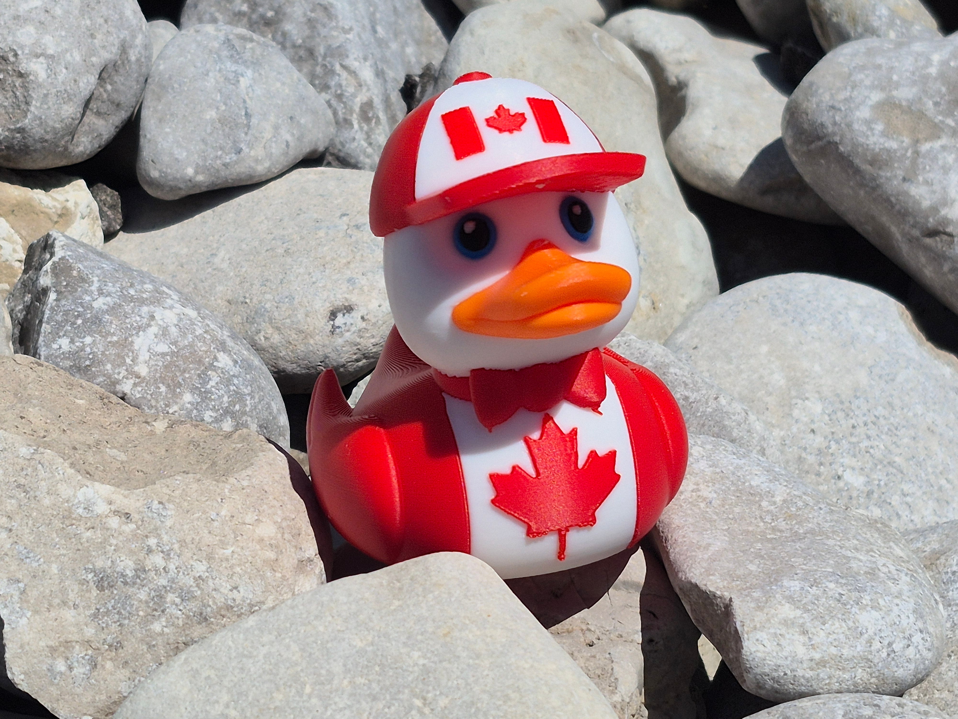 Oh Canada!!! Proudly Canadian Duck – SLC 3D
